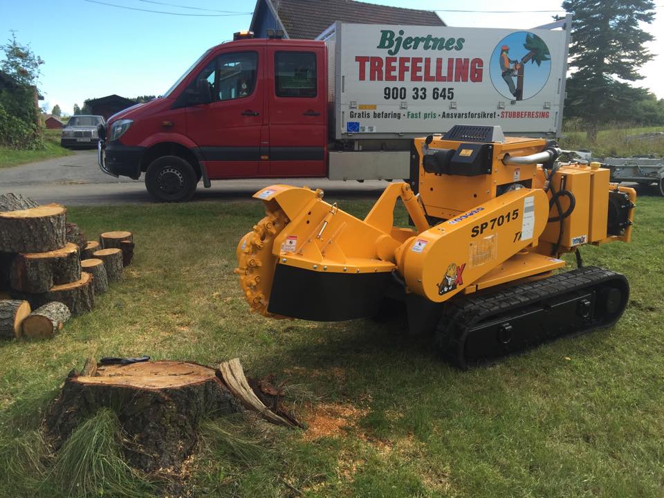 Stubbefresing | Bjertnes Trefelling