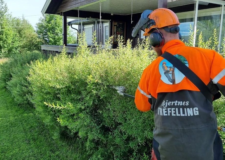 Hekkeklipping | Bjertnes Trefelling