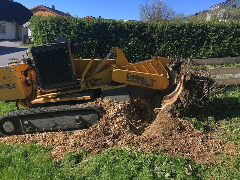 Stubbefresing | Bjertnes Trefelling